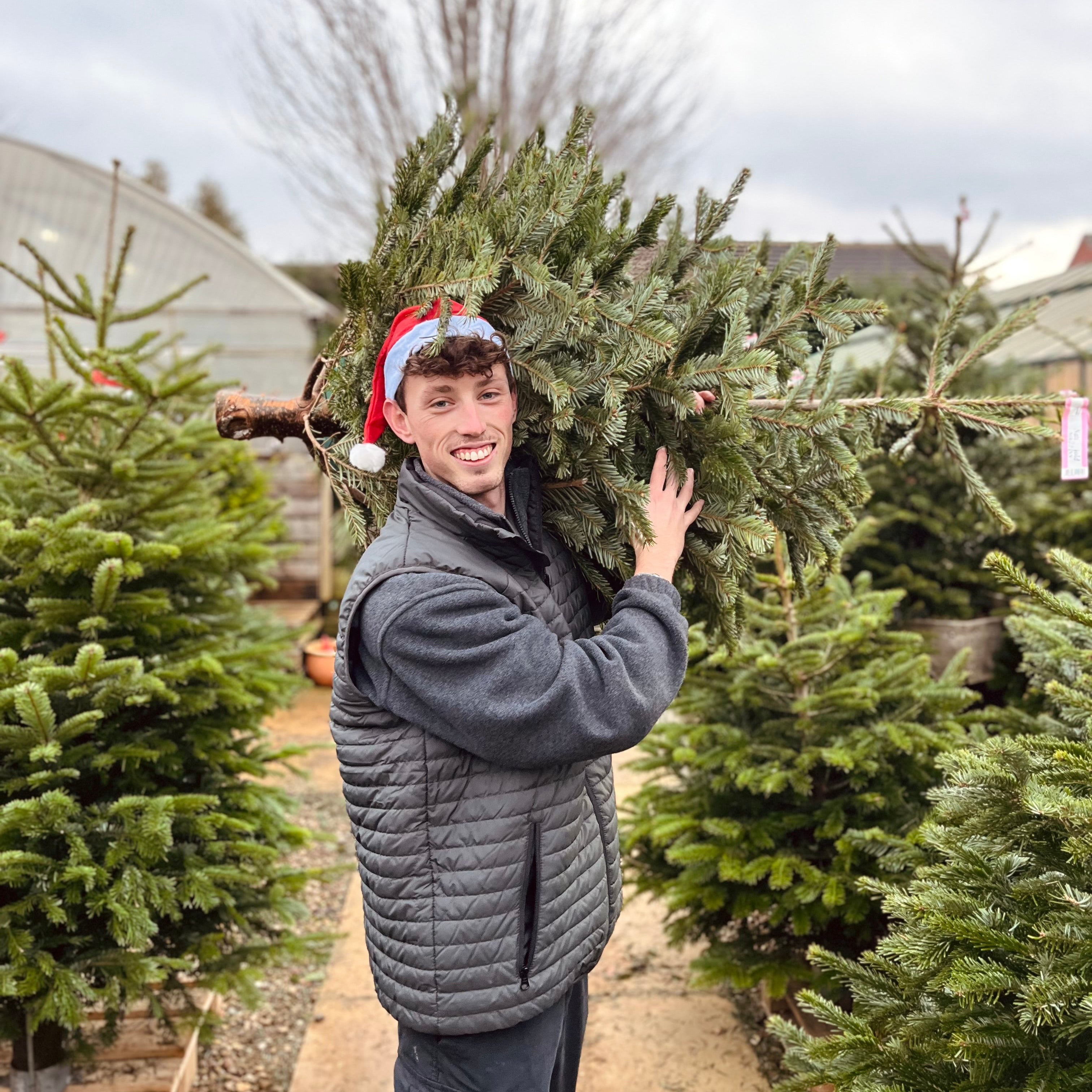 Pick Your Own Christmas Tree – Farndon Fields Farm Shop